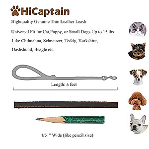 HiCaptain Thin Leather Pet Leash, Durable Dog Leashes Suit for Small Dog Up to 15 lb 00(1/5 inch Wide, 6 Ft) Brown