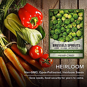 Brussels Sprouts Seeds for Planting - Long Island Improved Heirloom, Non-GMO Vegetable Variety- 800 mg Approx 225 Seeds Great for Summer, Fall, and Winter Gardens by Gardeners Basics