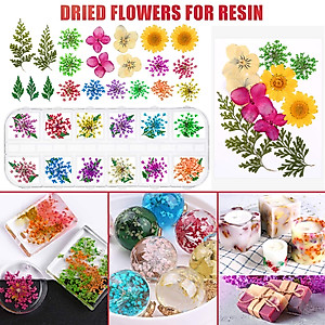 Thrilez Resin Decoration Accessories Kit, Jewelry Making Supplies with Dried Flowers, Glitter Sequin, Mica Powder, Foil Flakes and Epoxy Fillers for Crafts Beginners