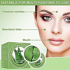 Jackie Doodles Pet Shampoo - Easily Removes Odors, Dirt & Itchy Dander - Awesome Results Guaranteed