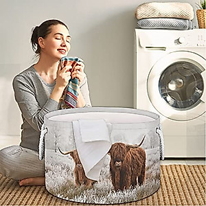 PAYOHTO Large Rope Basket Scottish Highland Cow Decor Baby Stuff Storage Baskets Blanket Clothes Pillows Toys Storage Bin Holder Water Resistant Laundry Hamper Farmhouse Living Room Western Home Decor