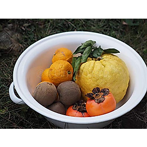 Noda Horo, TA-32, Small Enamel, 475273