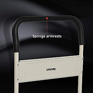 Leeyoung Dolly Cart Folding Moving Platform Hand Truck for Warehouse, Portable Flatbed Cart with Non-Slip Swivel Casters,with Brake (660Lbs Load-Bearing Capacity, Blue)