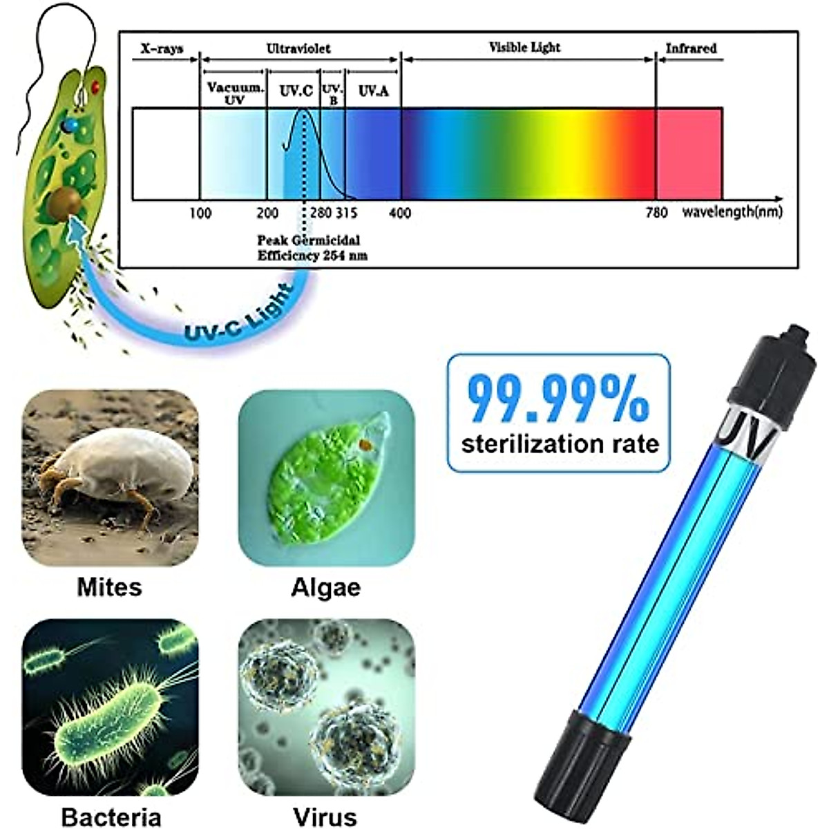 Aquarium Water Clean Clear Lamp Green Clean Machine w/Protect Shell Fits 20-200 Gallon Fish Tank Waterproof Light for Sump Pond Pump Filter 5W 254nm (Pump not Included, lamp is Inside The Shell)