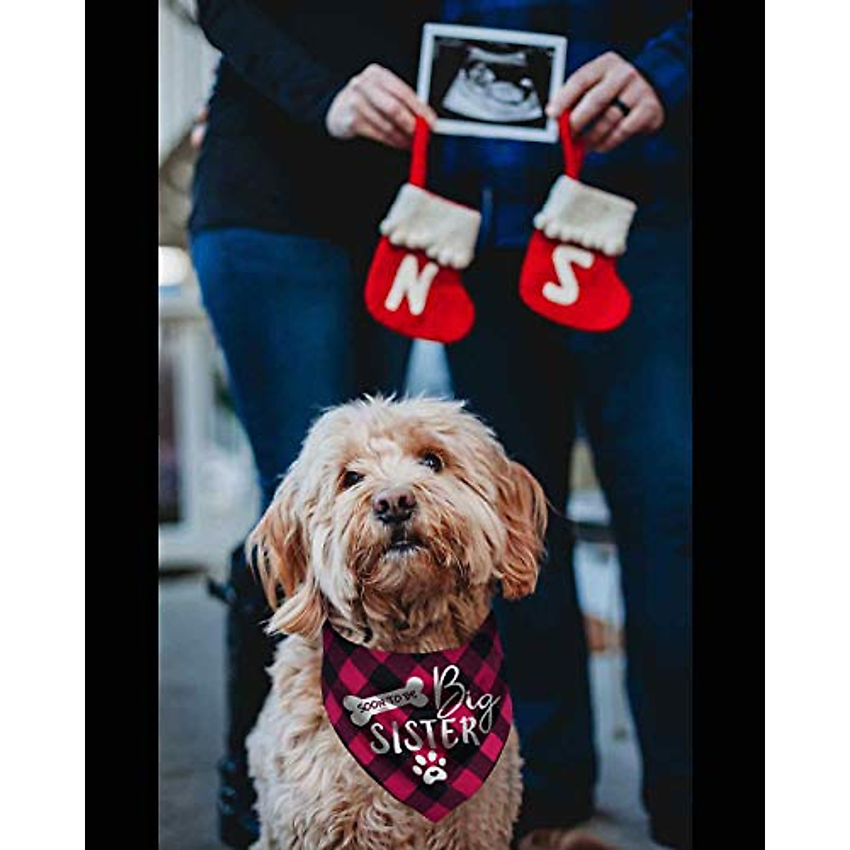 Big Sister Dog Bandana, Reversible Plaid Triangle Bibs Pet Scarf