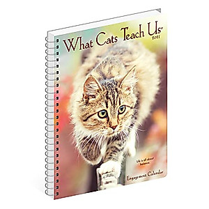 What Cats Teach Us 2021 Engagement Calendar
