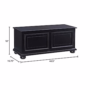 Linon Chadwick Classic Cedar Lined Chest Raised Panels Bun Feet in Black