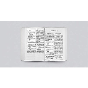 ESV Economy Bible, Large Print