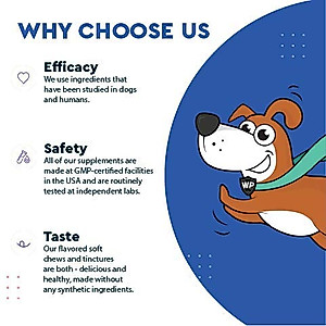 WONDER PAWS Daily Multivitamin Chews Plus Milk Thistle Drops - for Dog Immune Support, Heart Health, Liver, Detox & Overall Wellness - Multivitamin 60 Chews - Milk Thistle 2 Ounces