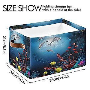 Sea Ocean Animal Dolphin Fish Storage Bin Canvas Toys Storage Basket Bin Large Storage Cube Box Collapsible with Handles for Home Office Bedroom Closet Shelves,1 pc