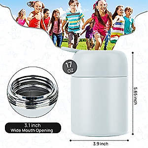 NewFation Thermos For Hot Food - 17 Oz Insulated Food Container With Foldable Fork& Spoon, Leak Proof Soup Thermoses For Adults, Food Thermoses Portable With Handle For Office Outdoors (Gray)