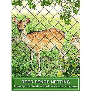 25 x 50 Ft Bird Netting with 2.4 in Square Mesh, Reusable Garden Netting for Chicken Coop, Nylon Poultry Net Deer Fence Netting for Protecting Vegetables Fruit Tree from Birds Squirrel