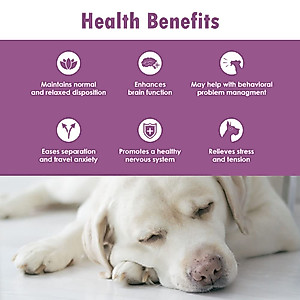 TranQuil-Chews for Dogs - Contains Chamomile, L-Tryptophan, and Melatonin - Relieves Stress and Tension - Ease Travel and Separation Anxiety - 180 Soft Chews