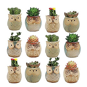 Weierken 12PCS Owl Pot Ceramic Flowing Glaze Base Serial Set Mini Succulent Plant Pot Cactus Plant Pot Container Planter Bonsai Pots with A Hole