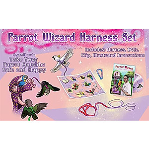 Parrot Wizard Bird Harness Set (XL, Pink)