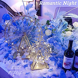 Henzxi 1000 Pcs Dark Red Rose Petals, Artificial Flower Petals, for Romantic Night, Wedding, Event, Party, Valentine Decor (1000 Pcs, Dark Red)