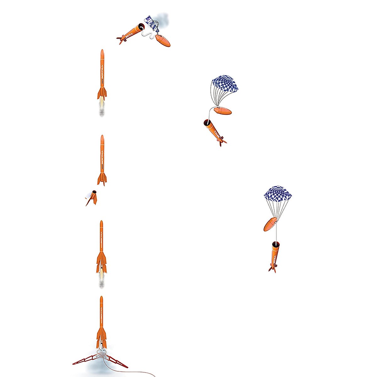 Estes Boosted Bertha Flying Model Rocket Kit| Multi-Stage Booster Rocket | Advanced Level Build | Soarsup to 1000'