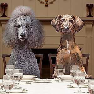 Fromm Adult Gold Premium Dry Dog Food - Chicken Recipe - 30 lb