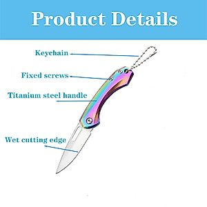 FEIZII Foldable Pocket Knife Camping Blade With a Length of 2.4 Inches and 4 Colors (Black, Silver, Gray, Rainbow), The Best Gift Choice (12)