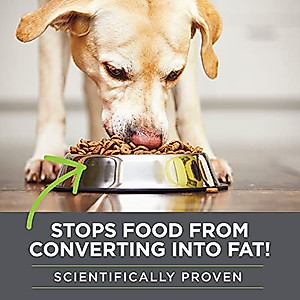 SlimPaws Healthy Weight Soft Chews for Dogs | Chicken Flavor | 60 Count | Made in America