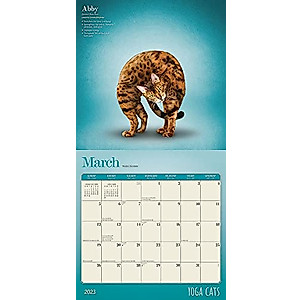 Yoga Cats OFFICIAL | 2023 12 x 24 Inch Monthly Square Wall Calendar | BrownTrout | Animals Humor Pets