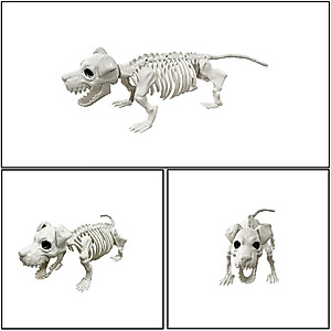 Wocst Halloween Skeleton 19” Pose-N-Stay Puppy Skeleton Plastic Dog Bones with Posable Joints Graveyard Prop for Fall Party Decor Indoor/Outdoor (Skeleton Dog)