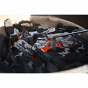 BIG CP 20-pound bag of natural lump charcoal