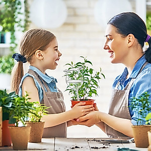 Haawooky Self Watering Globes,Clear Glass Plant Water Bulbs,Hand Blown Automatic Plant Waterer Device for Indoor Outdoor Plants,3 Pack