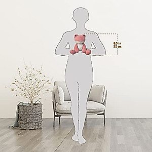 Doindute Frog Stuffed Animal, Pink Frog Plush Toy, Soft Cuddly Plushie Hugger Toy for Boys Girls, Gifts for Kids or Girlfriend, 8.5 Inches