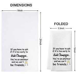 Champagne Lover Gift Best Friend Housewarming Gift Novelty Quote Kitchen Decor Towel for Champagne Drinker (Drink Champagne)