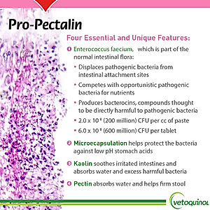 Vetoquinol Pro-Pectalin Oral Paste for Dogs & Cats – Chicken Flavor – Helps Reduce Occasional Loose Stool & Diarrhea, Balance Gut pH, Support Normal Digestion & Intestinal Flora