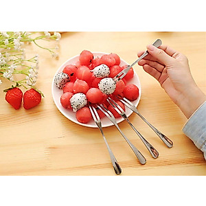 Crab Stainless Steel Forks,Escargot Forks 2 Prong Tasting Appetizer Forks Portable Cocktail Salad Fruit Forks for Party Travel,Set of 10, 5 Inches (10 Pcs)