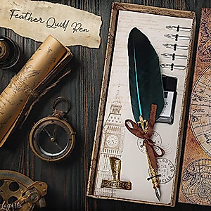 Feather Quill Pen and Ink Set - Calligraphy Pen Dip Set with Inkwell And Stand - Quill Pen Set with 5 Stainless Steel Nibs for Writing Paper, Letter Drawing Pen - Feather Pen Birthday Gift for Adults