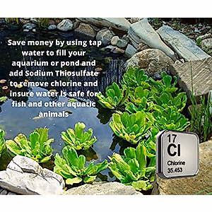 Pool Dechlorinator Sodium Thiosulfate Pentahydrate 10 lbs by Cesco Solutions - Premium Chlorine Neutralizer for Pools, Aquarium, Pond - Technical-Grade Chlorine Remover for Hot Tubs - Bulk Package