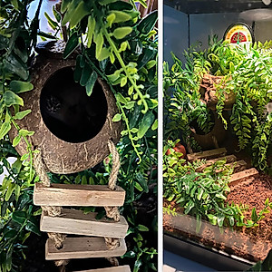 kathson Leopard Gecko Coconut Husk Hut Reptile Habitat Accessories Hideout Hole Climbing Ladder Bendable Hanging Plants Sleeping Hiding Breeding Apply to Amphibians and Small Animals