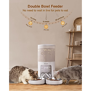 Molypet Automatic Cat Feeders for 2 Cats - 6L Cat Food Dispenser with Double Bowls, Programmable Timed Cat Feeder up to 6 Meals per Day with 10S Voice Recorder, Support Dual Power Supply