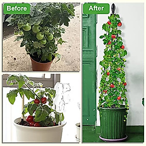 AlisisFores 4 Ft Tower Obelisk Trellis for Potted Climbing Plants, Garden Trellis Rustproof Plastic Coated Metal Plant Support for Vegetables, Vines and Rose Bushes