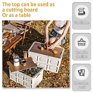 KERHAND Foldable Camping Storage Box with Lids,Outdoor Collapsible Storage Bins & Picnic Basket,Plastic Tote Car Organizer for Clothes/Tool/Books/Snack/Beer...(30 L)