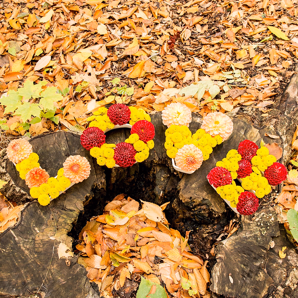 WEDDINGSTAR "LOVE Plates Set