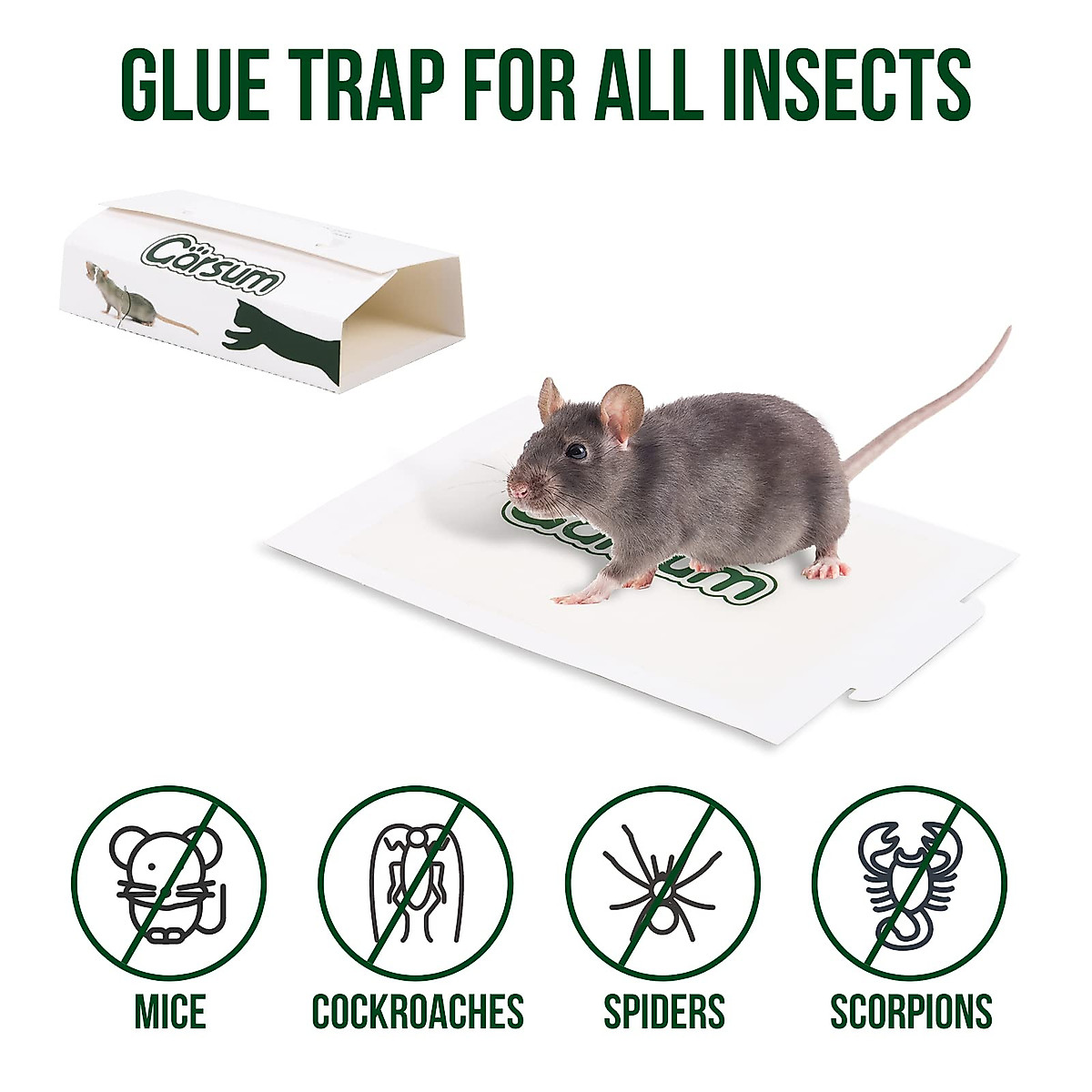 Garsum 10 Pack Mouse Glue Trap, Peanut Butter Scent Sticky Traps, Heavy Duty Pest Board Insect Spider Mice, Extra Strength Trampas para Ratones Indoor for Home