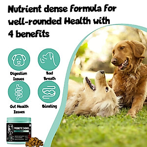 V-EST Probiotics for Dogs - Probiotic Chews for Dogs - Gut Health for Dogs - probiotico para perro - Digestive enzymes for Dogs - Dog probiotics - Dog Health Supplies - Dog Gut Health