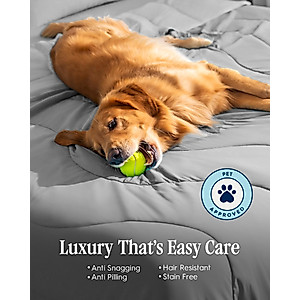 REST® Evercool® Cooling Comforter, Good Housekeeping Award Winner for Hot Sleepers, All-Season Lightweight Blanket to Quickly Cool Down, Cool Gray - Twin/Twin XL 68" x90”