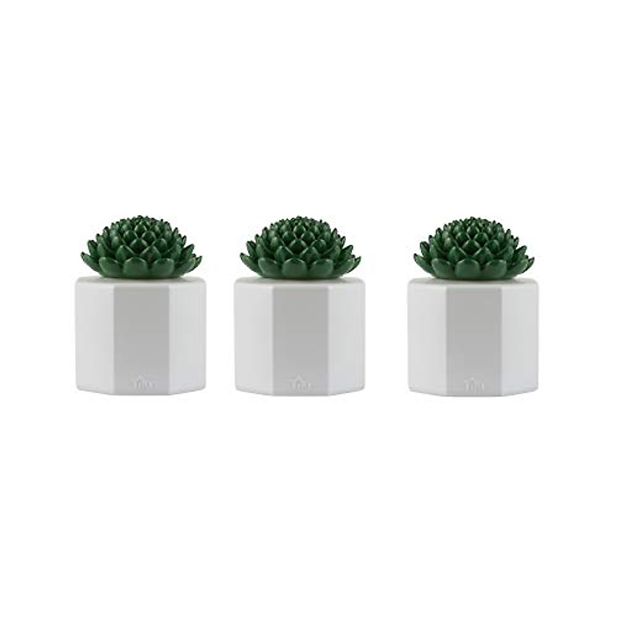 TIKI Brand 3-Pack Table Torch Glass Succulent White - Outdoor Table Top Lighting for Patio Lawn Backyard, 5.5 in, 1120165