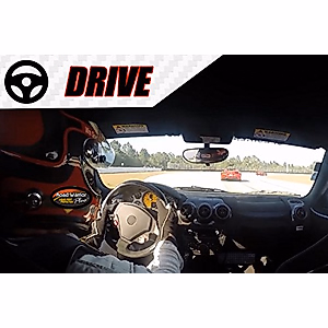 Road Warrior Plus Paint Protection Film - Temporary Roll-On Automotive Exterior Protector from Rocks, Scratch and Chips - Coating Applies White, Dries Clear 16oz Kit