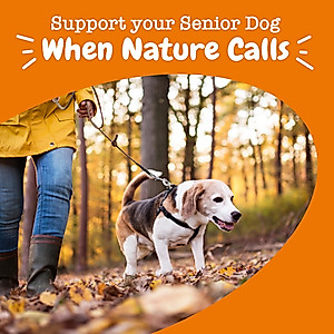 Zesty Paws Senior Cranberry Supplement for Dogs - Bladder Bites for Dogs - Kidney & Urinary Tract for Dogs - Soft Chews with D-Mannose, Vitamin B6 & L-Arginine - Chicken - 90 Count