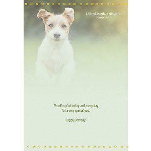 HTL Card-Boxed-Childrens Birthday-Fuzzy Friends (Box of 12)