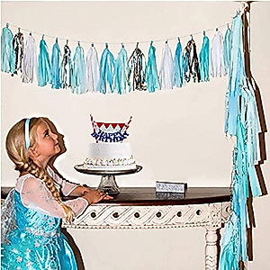 Qyeaber 20 pcs DIY Paper Tassel Tinsel Foil Tassel Party Garland, Silver/White/ Blue , Fringe Garland Banner for Wedding, Valentine's Day, Baby Shower,Birthday, Graduation, Event & Party Decorations