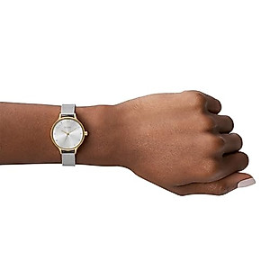 Skagen Women's Anita Lille Three-Hand Silver and Gold Two-Tone Stainless Steel Mesh Band Watch (Model: SKW2340)