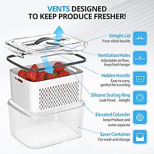 damynuo 10Pack Fruit Storage Containers for Fridge - Fridge Organizers and Storage with Vent and Handle Lids, Fruit Containers for Fridge with Colander, Refrigerator Organizers and Storage Keep Fresh
