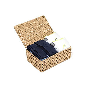 Arpan Natural Paper Rope Storage Basket Box With Lid (Small)